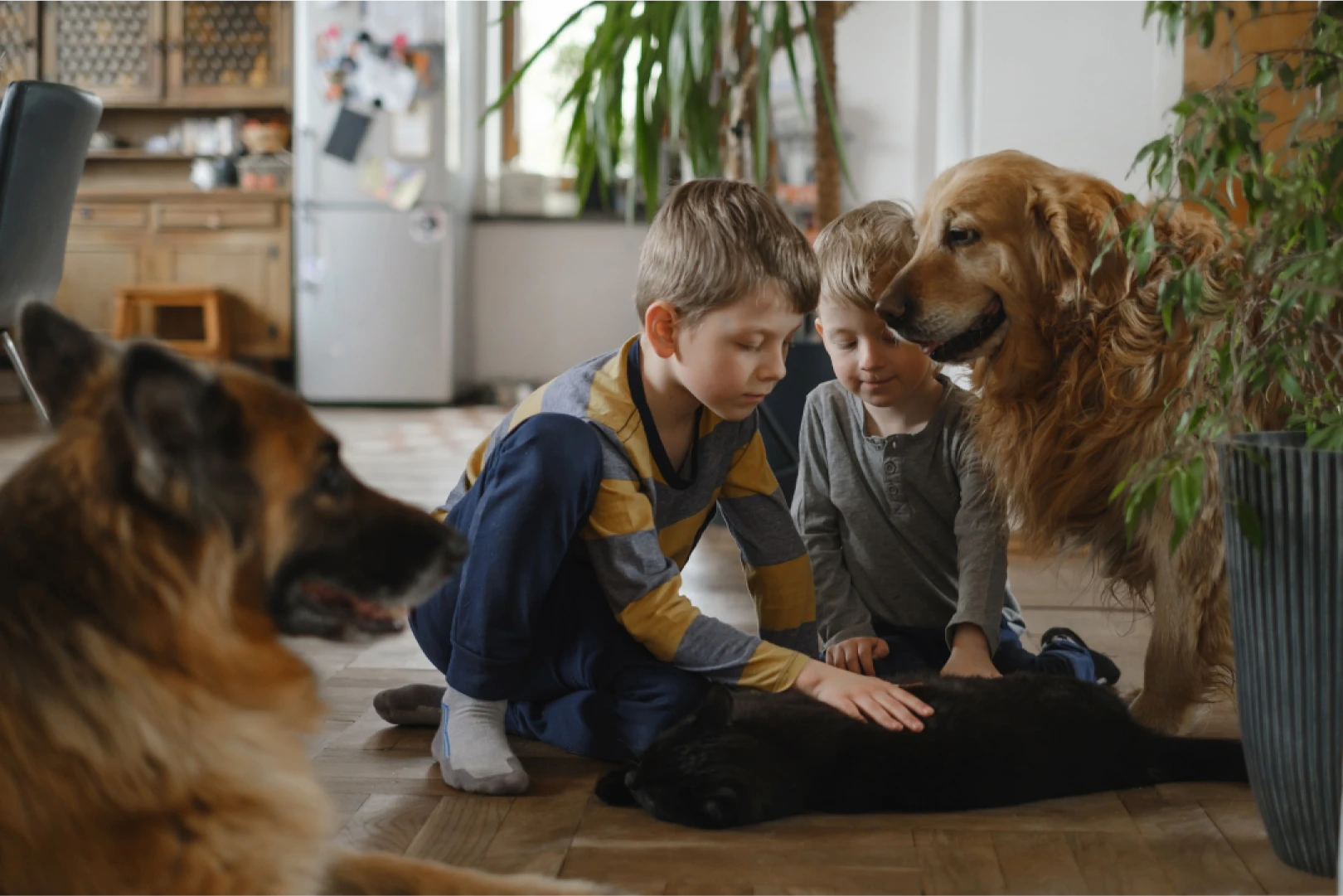 Resources | DCC Industry Group